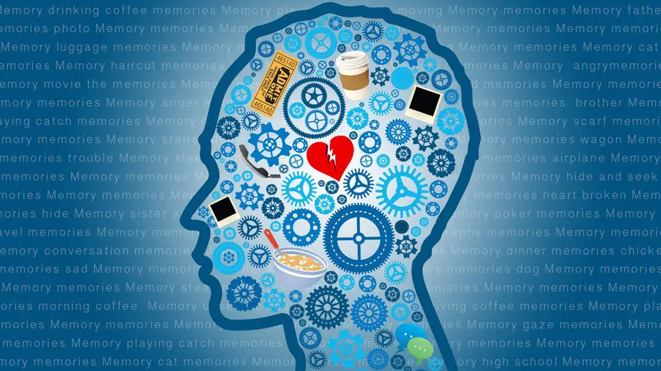 Top 5 Memory Games For ESL Students Concentration Games For Adults