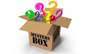 Mystery Box Game For Kids | Guess What's in the Box Activity