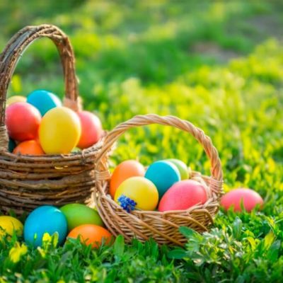 ESL Activities and Games: Fun Ideas for the English/TEFL Classroom