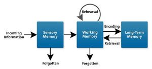 John Sweller's Cognitive Load Theory in the Classroom for ESL Students