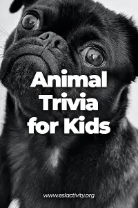 30+ Animal Trivia Questions for Kids (Easy/Hard/Intersting)