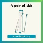 Things That Come in Pairs: List, Pictures & Chart of Pairs of Things