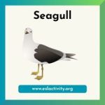 Water Animals Names in English | Sea & Aquatic Animals List