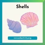 Water Animals Names in English | Sea & Aquatic Animals List