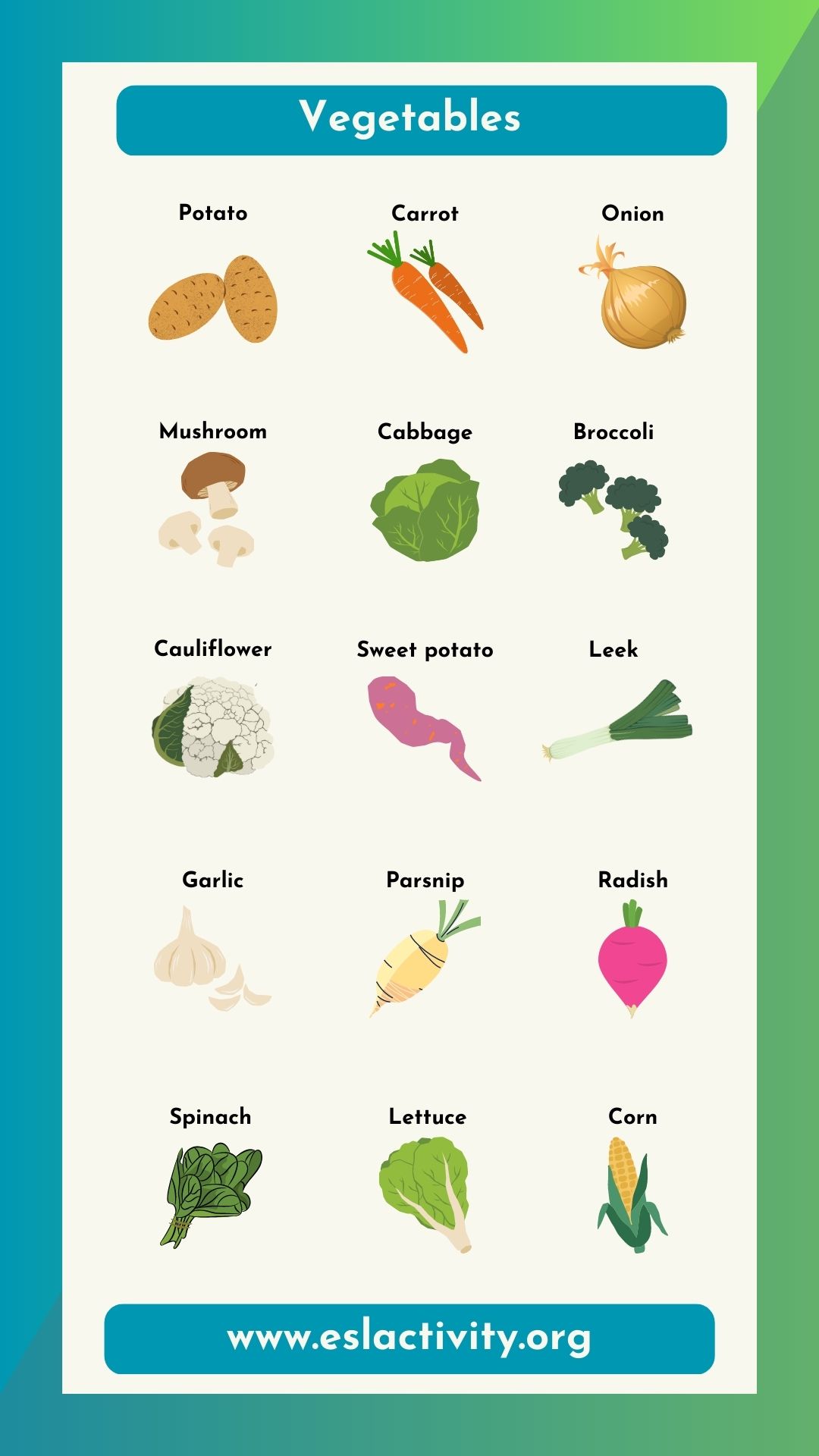 Vegetables List in English (With Pictures) | Learn Veggie Names!