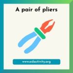 Things That Come in Pairs: List, Pictures & Chart of Pairs of Things