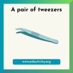 Things That Come in Pairs: List, Pictures & Chart of Pairs of Things