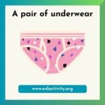 Things That Come in Pairs: List, Pictures & Chart of Pairs of Things