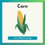 Vegetables List in English (With Pictures) | Learn Veggie Names!