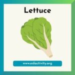 Vegetables List in English (With Pictures) | Learn Veggie Names!