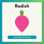 Vegetables List in English (With Pictures) | Learn Veggie Names!