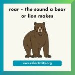 Bot Verification