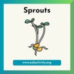 Vegetables List in English (With Pictures) | Learn Veggie Names!