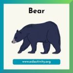 List of Zoo Animals | Most Common Zoo Animals in English