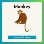 List of Zoo Animals | Most Common Zoo Animals in English