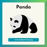 List of Zoo Animals | Most Common Zoo Animals in English