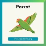 List of Zoo Animals | Most Common Zoo Animals in English