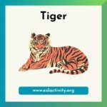 List of Zoo Animals | Most Common Zoo Animals in English