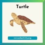 List of Zoo Animals | Most Common Zoo Animals in English