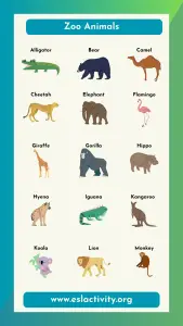List of Zoo Animals | Most Common Zoo Animals in English