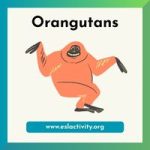 Omnivorous Animals List: Animals that Eat Both Plants & Meat