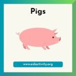 Omnivorous Animals List: Animals that Eat Both Plants & Meat