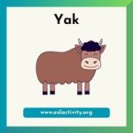 Herbivores Animals Name List in English | Herbivorous Animals