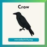 Bird Names List | Different Types of Birds, in English with Pictures