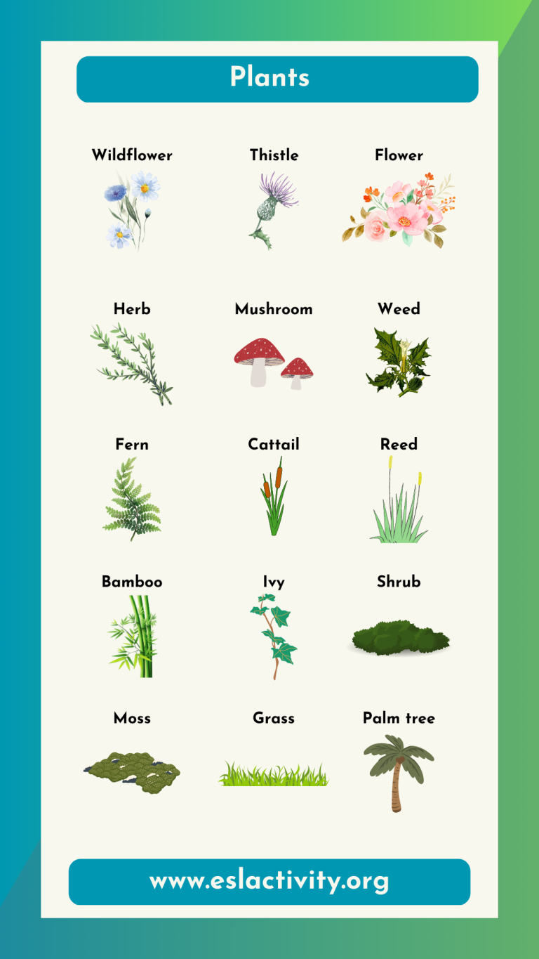 Plant Names in English | Most Common Types of Plants