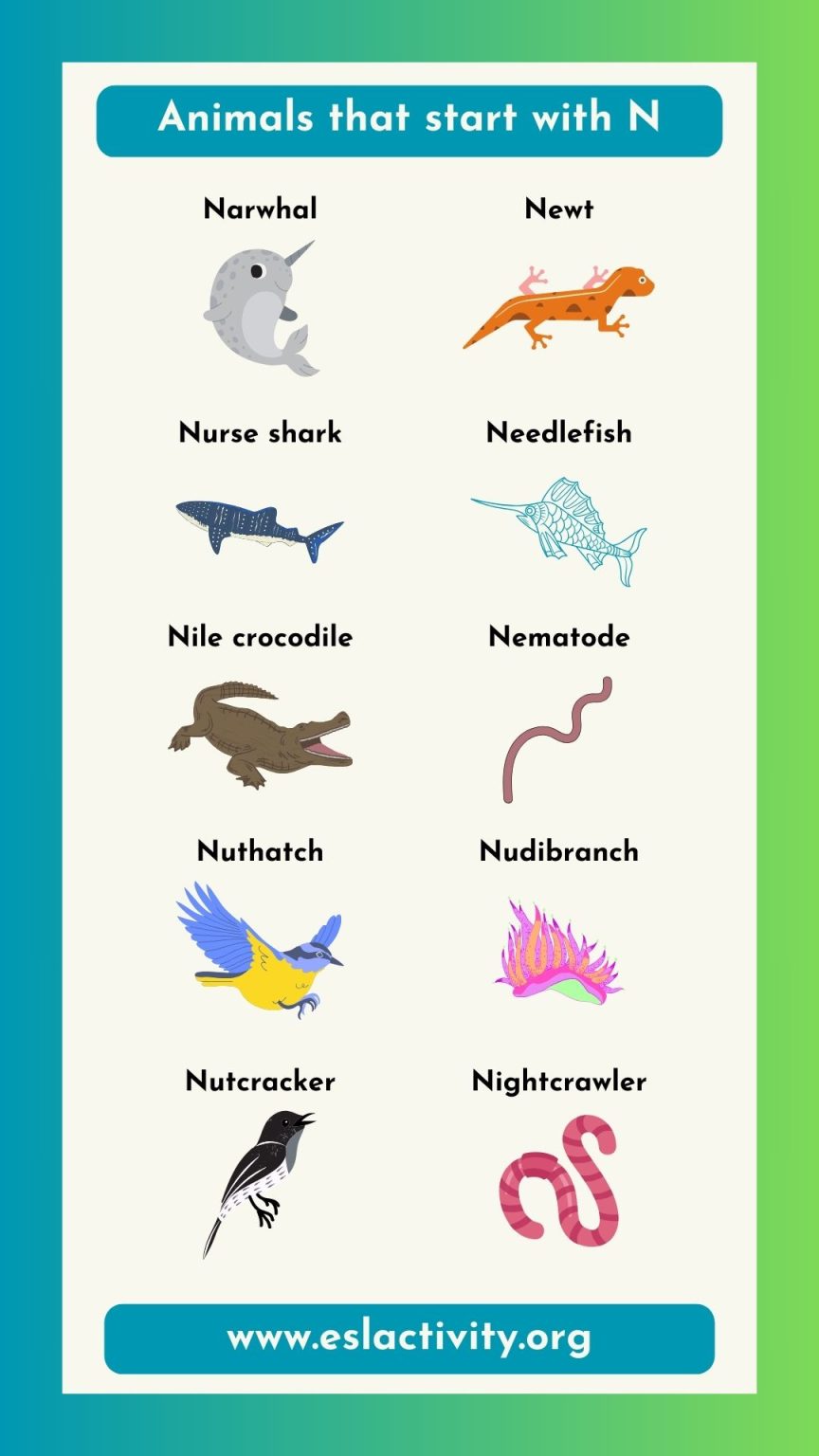Animals that Start with the Letter N (List with Pictures)