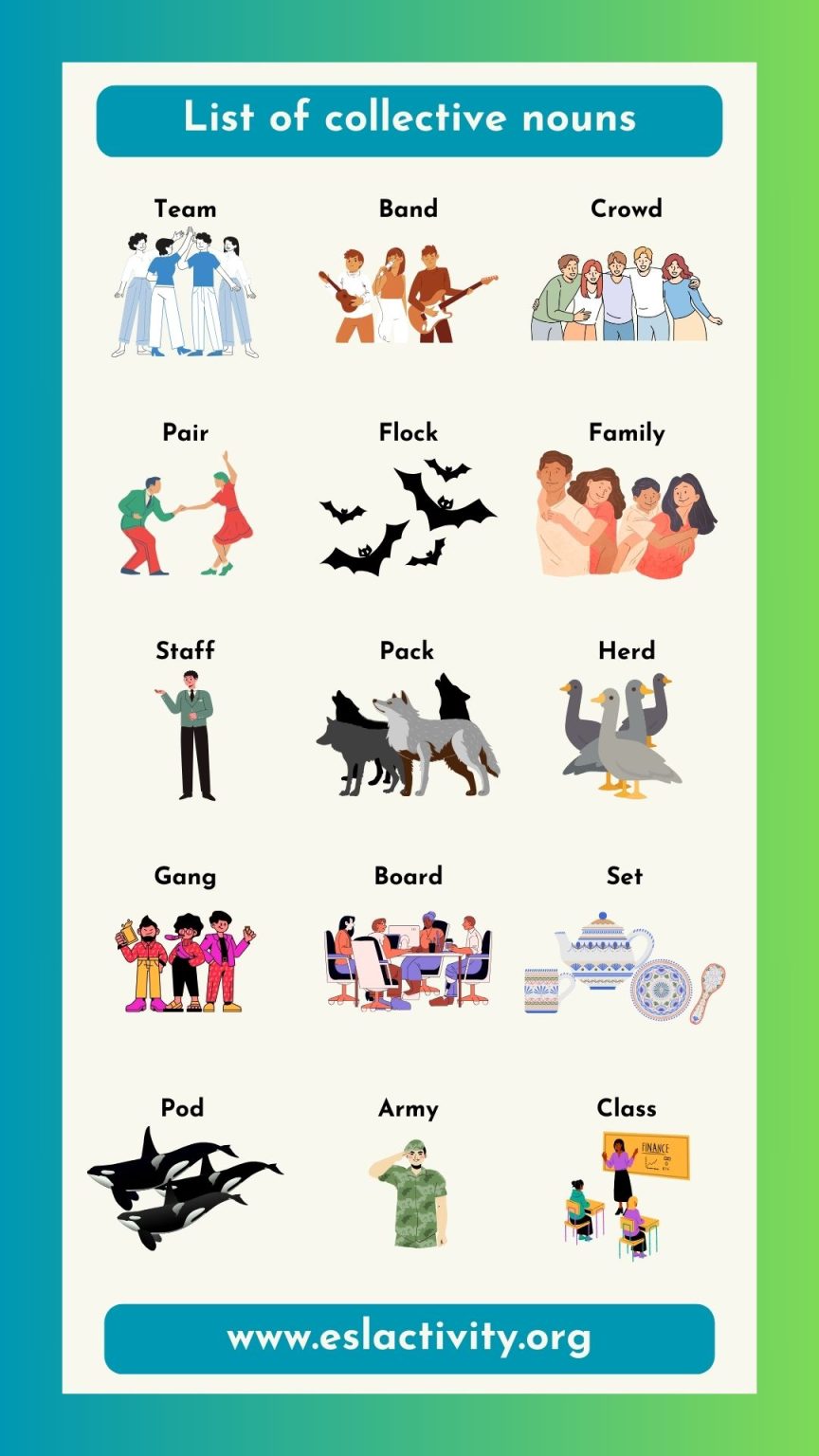 Collective Noun List | Examples of Collective Nouns