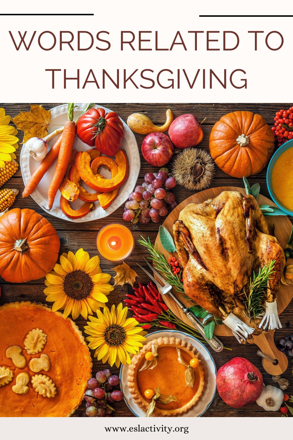 Thanksgiving Related Words, Phrases, Idioms & Expressions
