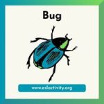 Common & Cool 3 Letter Words in English (with Pictures)