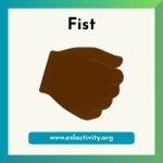Parts of the Hand: Finger Names in English with Pictures