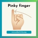 Parts of the Hand: Finger Names in English with Pictures