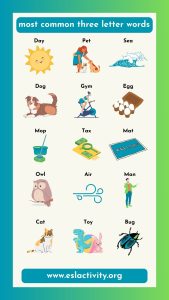 Common & Cool 3 Letter Words in English (with Pictures)