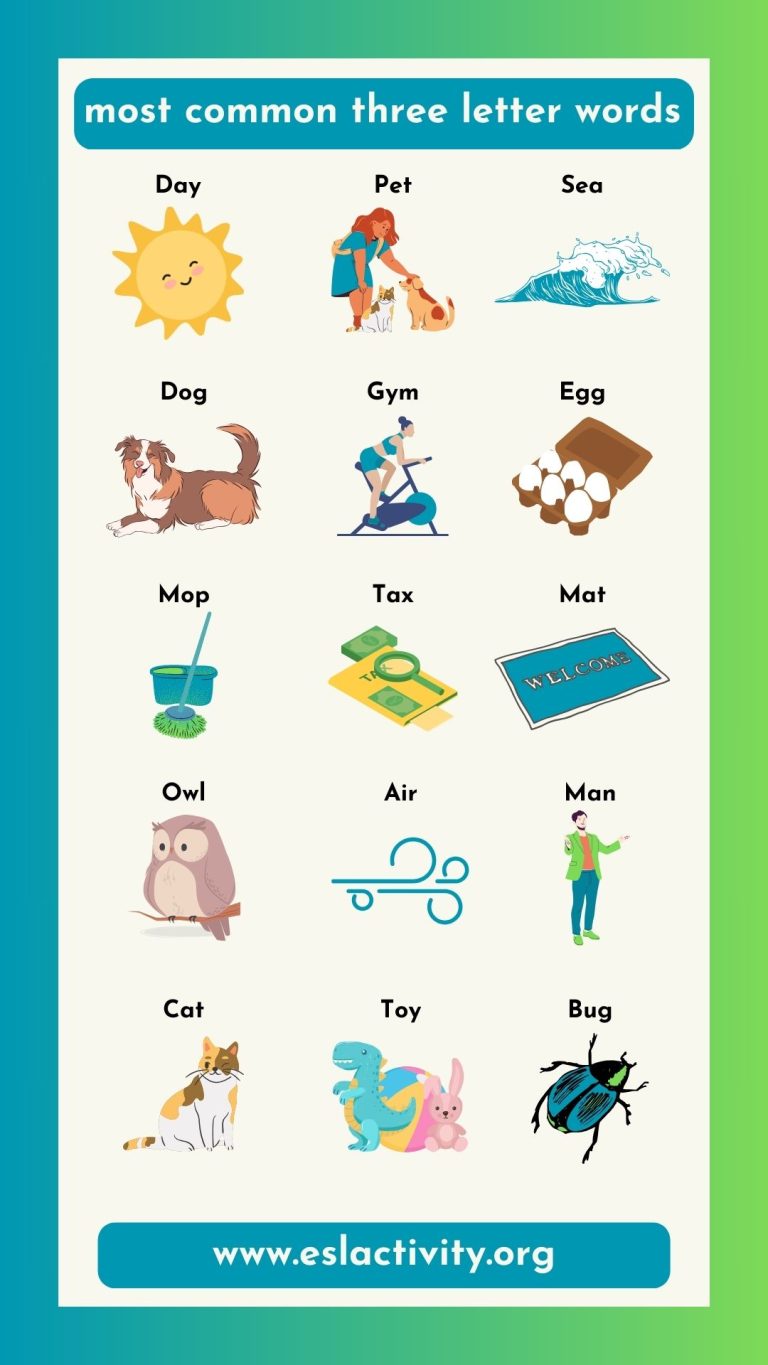 Common & Cool 3 Letter Words in English (with Pictures)