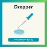 Common Laboratory Equipment Names in English with Pictures