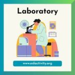 Common Laboratory Equipment Names in English with Pictures