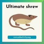 Animals that Start with U | Pictures and Fun Facts About Animal