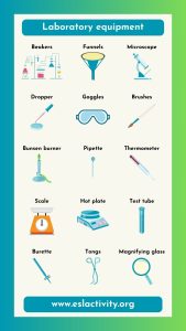 Common Laboratory Equipment Names in English with Pictures